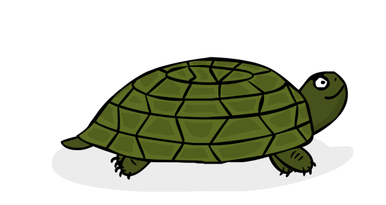 Coding Adventure | CodeMonkey