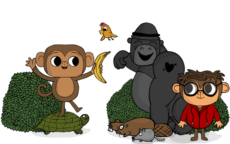 About Us | CodeMonkey